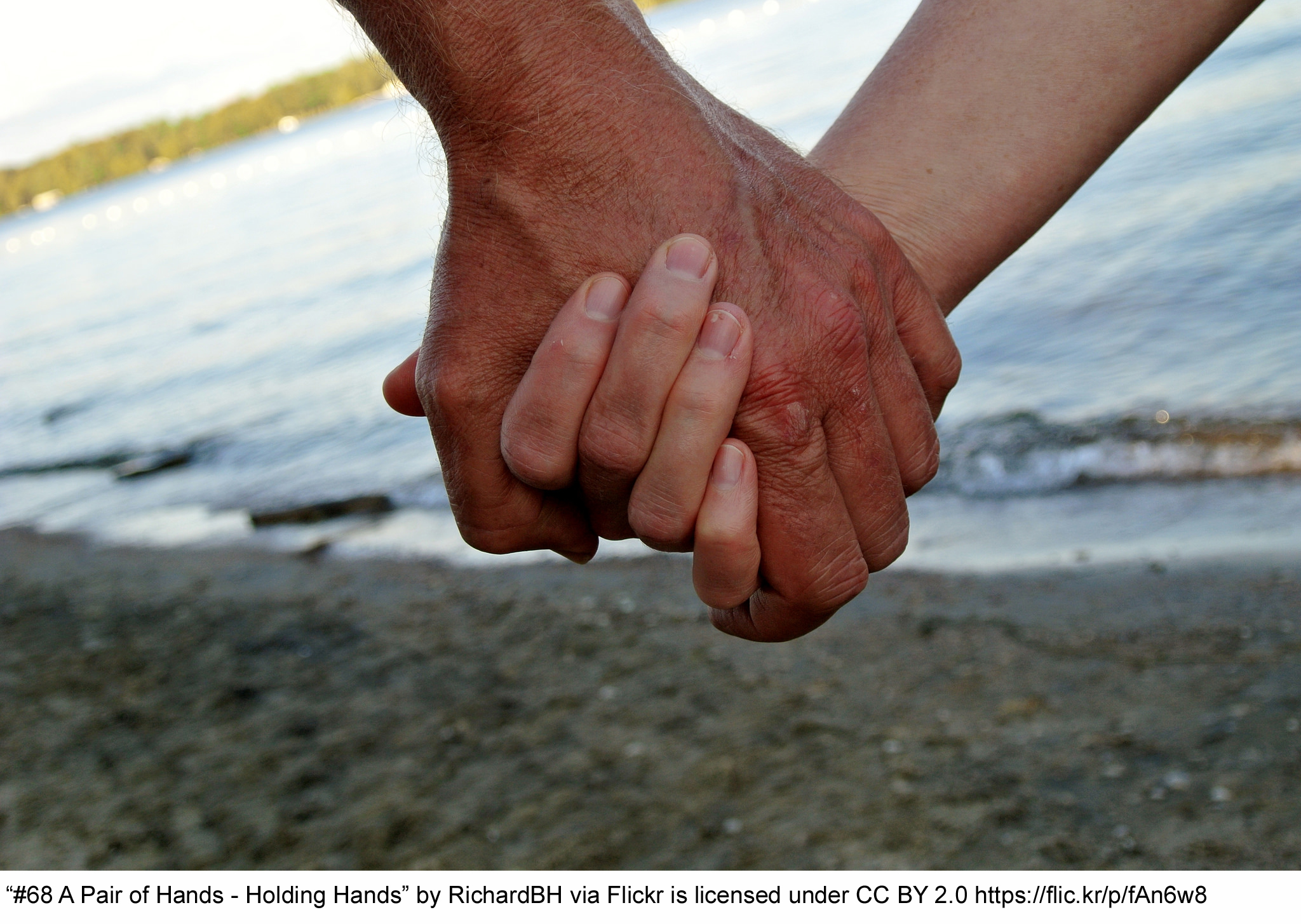 Celebrate Diversity Celebratediversity English Language Learners