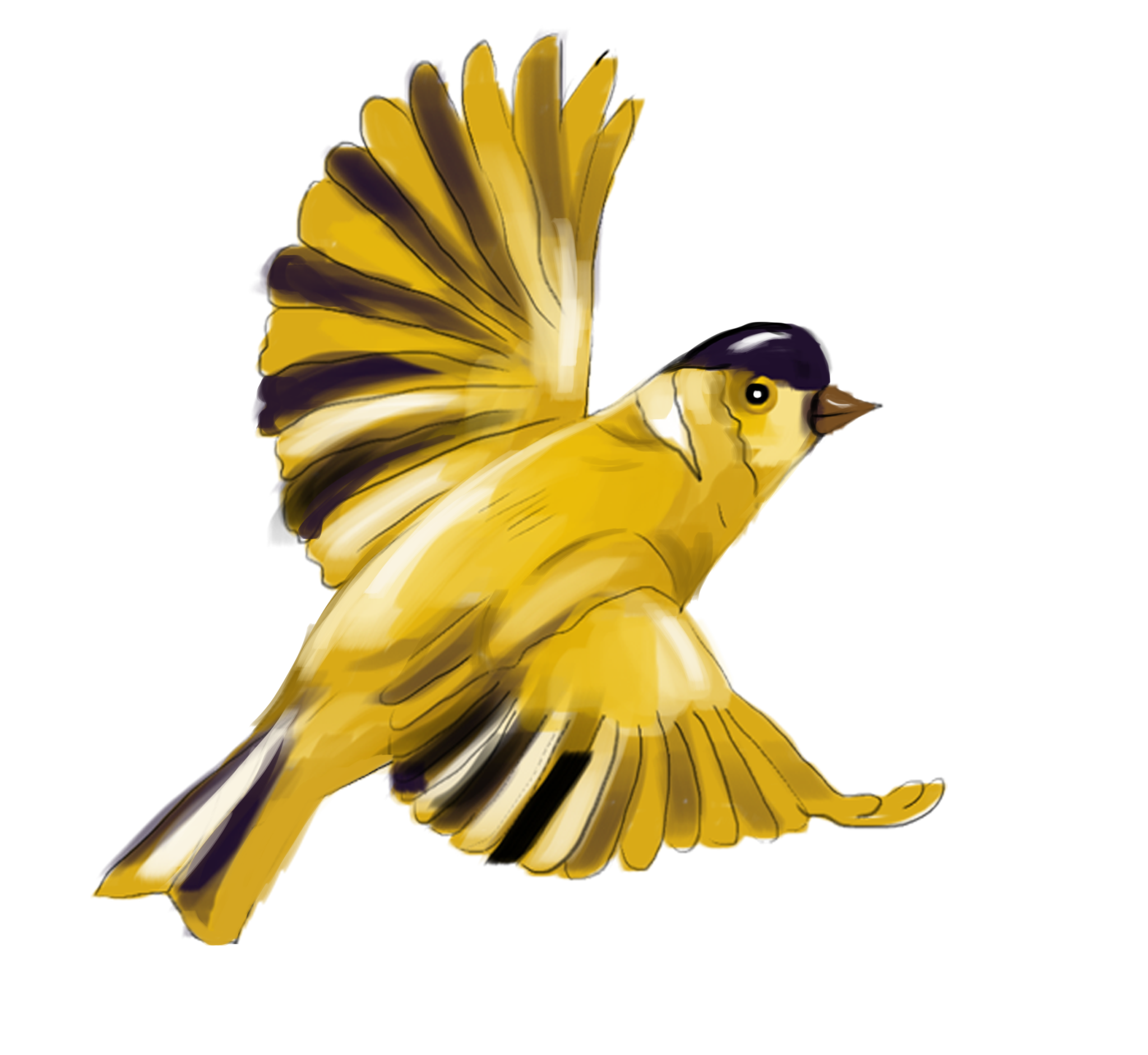 New Bilingual Book Celebrates Friendship